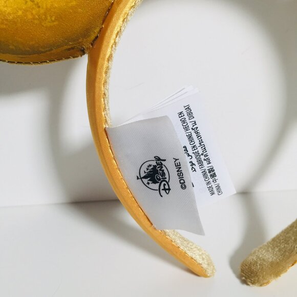 Disney | Accessories | Disney Resort Disney Parks Pan Dulce Concha ...